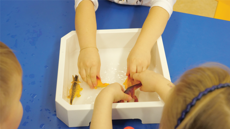 Tips and Information for Sensory Play - Access and Inclusion Model
